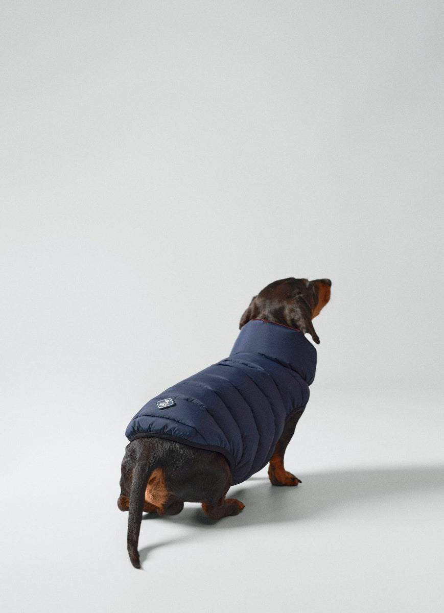 Hackett x Hugo Hudson Dog Puffer Jacket - Navy & Berry – Animalerie ...